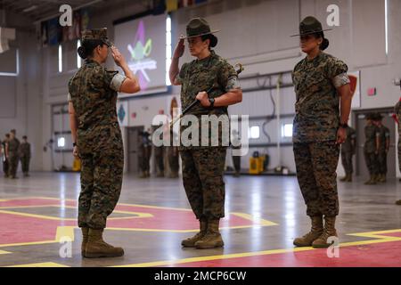 Sgt. Maj. Sigrid Rivera, former 4th Battalion Sergeant Major ...