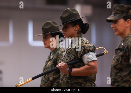 Sgt. Maj. Sigrid Rivera, former 4th Battalion Sergeant Major ...