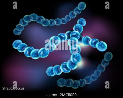 Vector illustration of a Pneumococcus or Streptococcus Pneumoniae ...