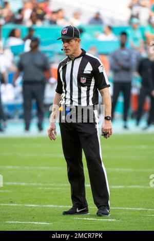 NFL Umpire Alan Eck stands on the field during an NFL football game ...
