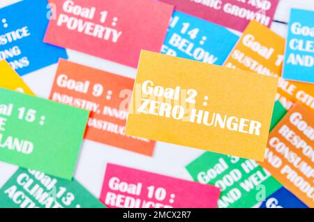 Goal 2: Zero Hunger. The SDGs 17 development goals environment ...