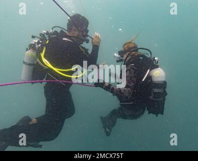 Divers from Australian Clearance Diving Team One and U.S. Explosive ...