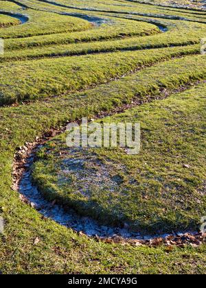 Mizmaze, on St Catherine Hill, Winchester, Hampshire, England, UK, GB ...