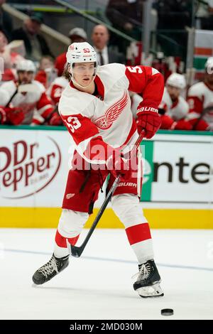 Detroit Red Wings defenseman Moritz Seider (53) celebrates his goal ...