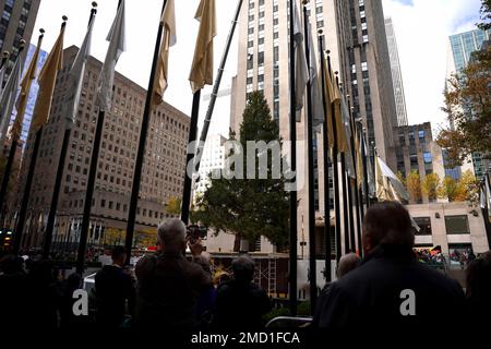 The 79-foot tall Rockefeller Center Christmas Tree from Elkton, Md ...