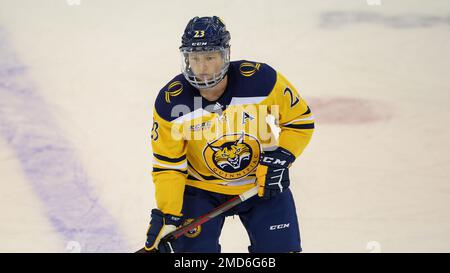 Quinnipiac's Zach Metsa (23) skates during the first period of an NCAA ...