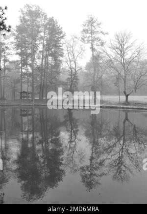 Morning fog rolling across the calm pond water Stock Photo - Alamy