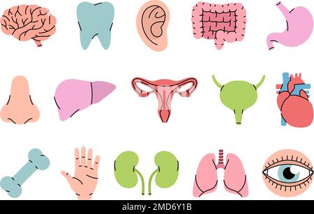 Intestines Hand drawn icon continuous line drawing. Human organs ...