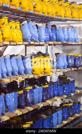 Ice skates of different sizes stored on shelves. Temporary skating ...