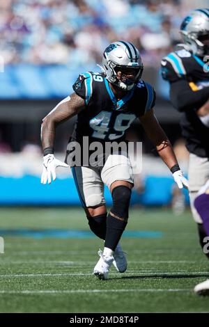 Carolina Panthers linebacker Frankie Luvu (49) makes his way onto the ...