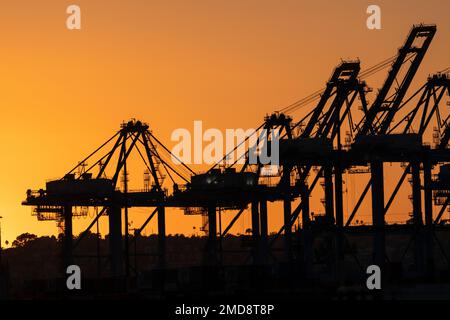 APM Terminal port of Los Angeles Stock Photo - Alamy