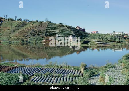 Scenery of Telaga cebong lake surrounded with green crop plantation in ...
