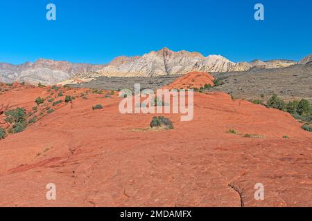 Lava Field Between the Red and White Sandstone in Snow Canyon State ...