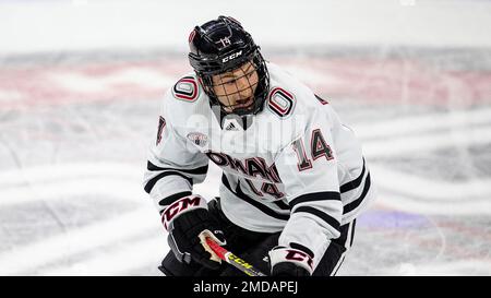 OMAHA, UNITED STATES - Oct 14, 2021: An elephant sculpture - Omaha's ...