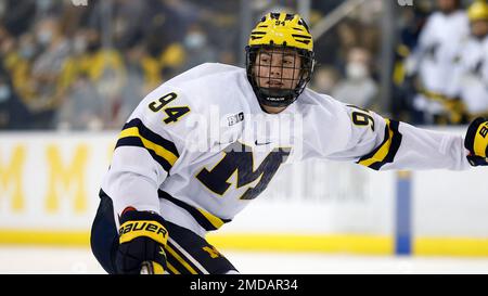 Michigan's Mark Estapa plays during an NCAA hockey game on Friday, Nov ...