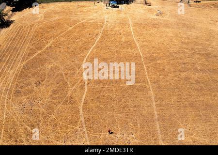 M25 rifle 1 Stock Photo - Alamy