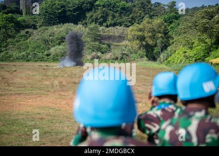 U.S. and Australian Army explosive ordnance disposal (EOD) soldiers ...