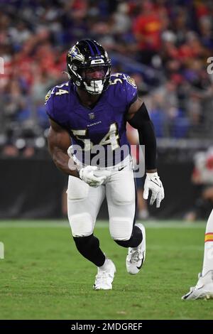 Baltimore Ravens linebacker Tyus Bowser (54) in action during the ...