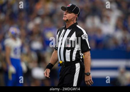 NFL line judge Mike Dolce (123) on the field during an NFL football ...