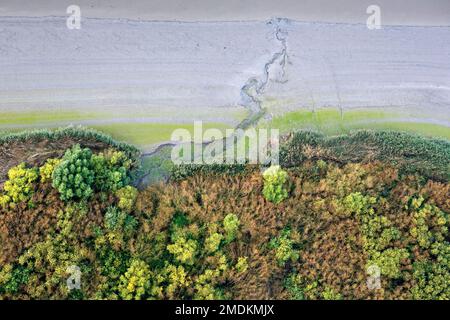 freshwater tidal salt marsh, aerial view, Belgium, East Flanders ...