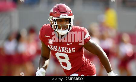 Arkansas defensive back Jayden Johnson (8) runs a play against ...
