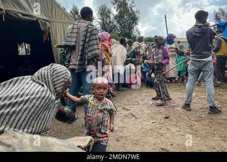 Displaced Amharas from different villages now controlled by Tigrayan ...