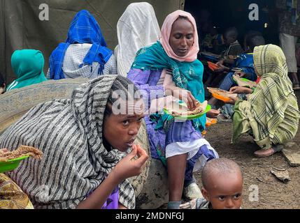 Displaced Amharas from different villages now controlled by Tigrayan ...