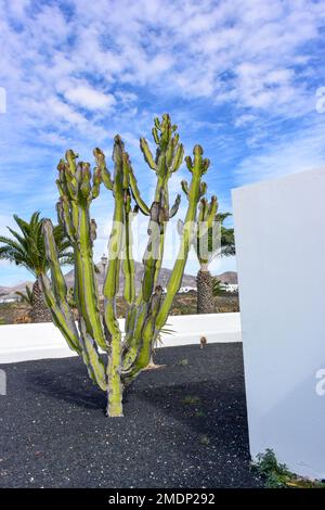 Lanzarote & Fortaventura, Canary Islands, Spain Stock Photo - Alamy