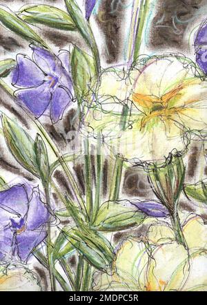 Colour illustration of pink and purple periwinkle flowers in the shape ...