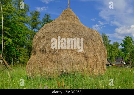 Hayloft, Luebbenau, Brandenburg, Germany Stock Photo - Alamy