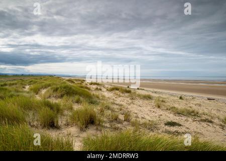 Gronant Nature reserve near Prestatyn on the North Wales coast Stock ...