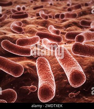 Virus and bacterium background - High Quality 3D Render Stock Photo - Alamy