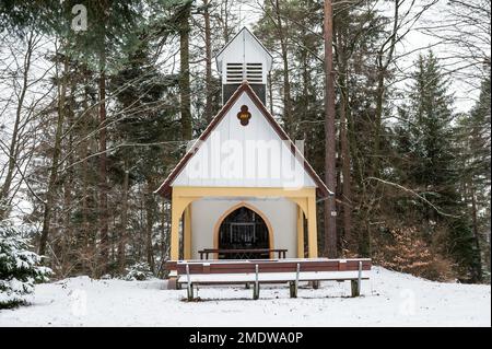 Rottweil, Germany. 23rd Jan, 2023. Snow lies on a sawed-off tree stump ...