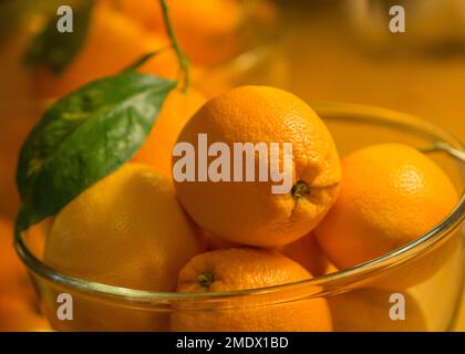 A closeup shot of fresh oranges placed inside of a blue basket Stock ...