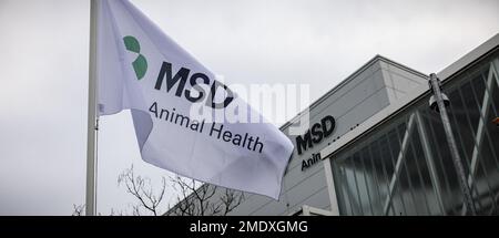 BOXMEER - Logo of MSD Animal Health. At the De Boxmeer pharmaceutical ...