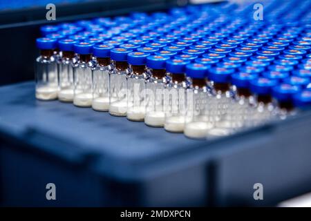 BOXMEER - The production of vaccines and medicines in the new vaccine ...