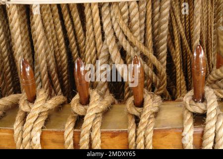 Maneuver ropes turned on toggles on the Amerigo Vespucci sailing school ...