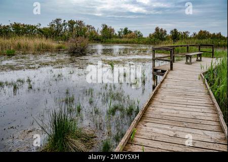 ThenC entre de découverte du Scamandre has set up boardwalk's in the ...