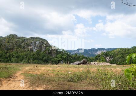 A tobacco drying house is in the foreground, destroyed by hurricane Ian ...