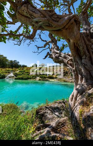 Wadi Darbat - Waterfalls at Wadi Darbat in the Dhofar region of Oman ...