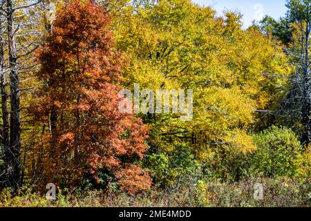 View from the Moses Cone Overlook in autumn on the Blue Ridge Parkway ...