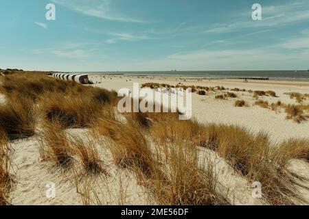 Netherlands, Zeeland, Groede, Sandy beach in summer with clear line of ...