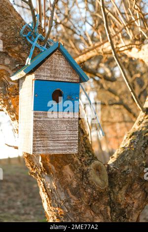 close up of a wooden blue birdhouse in garden Stock Photo - Alamy