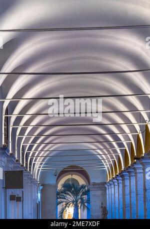 Long Row Arches Palm Tree Cityscape, Nice, Cote d'Azur, France Stock ...