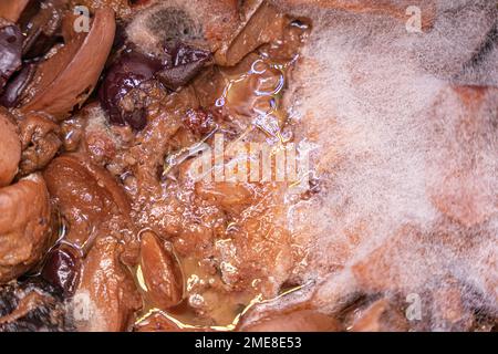 mold on compote, bacteria and moss. High quality photo Stock Photo - Alamy