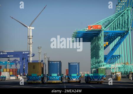 Driverless trucks move shipping containers at an automated port in ...