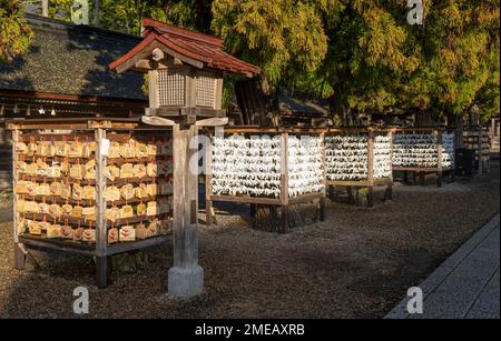 Wooden cards (ema) with prayers and wishes at Izumotaisha, a Shinto ...