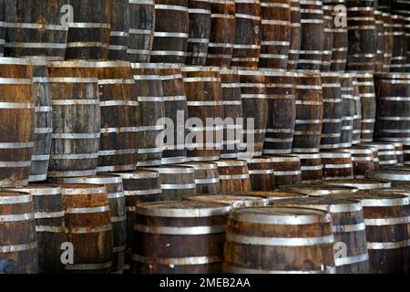 McIlhenny Tabasco Pepper Sauce Bottles Stock Photo - Alamy