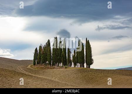The iconic circle of cypress trees in Tuscany's Val d'Orcia in the fall ...