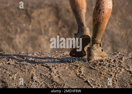Mud race runners detail of the legs,muddy running shoes a run in the ...